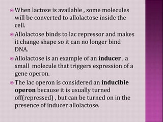 Negative gene regulation | PPTX