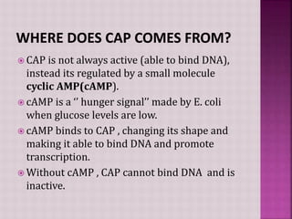 Negative gene regulation | PPTX