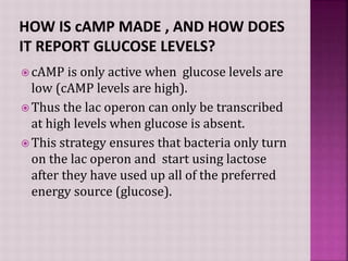 Negative gene regulation | PPTX