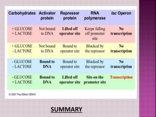 Negative gene regulation | PPTX
