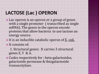 Negative gene regulation | PPTX