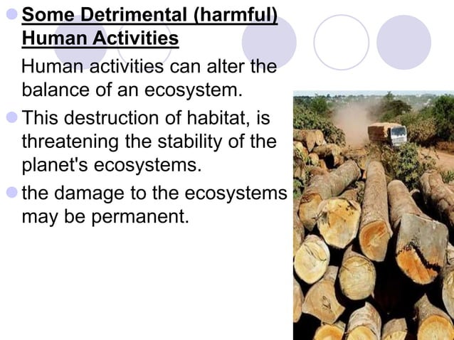 negative impact of human society on the enviroment Akniet.ppt