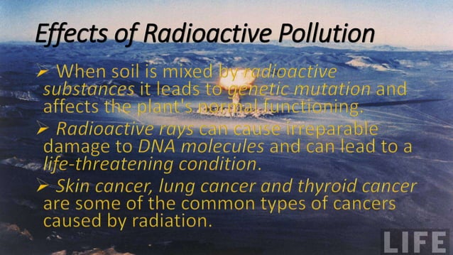 Negative Impacts Of Pollution On Environment | PPT
