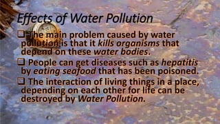 Negative Impacts Of Pollution On Environment | PPT