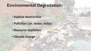 Negative Impacts of Urbanization and Strategies to Reduce These Impacts ...