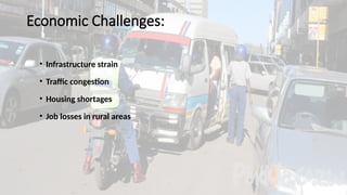 Negative Impacts of Urbanization and Strategies to Reduce These Impacts ...