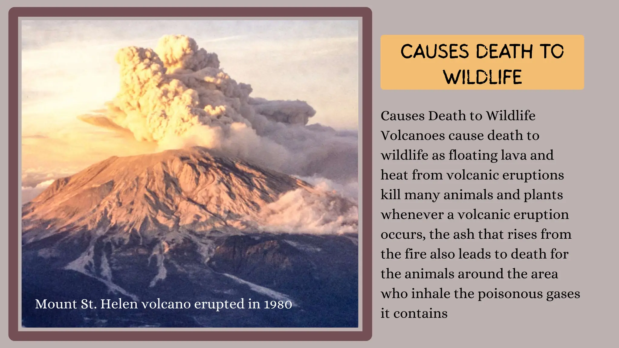Negative Impacts Of Volcanic Eruptions.pptx