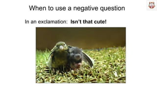 Negative questions - Ingles | PPTX