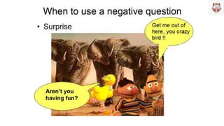 Negative questions - Ingles | PPTX