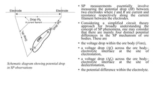 Negative Self Potential in Ore minerals.pptx