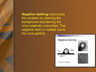 negative stainig.pdf