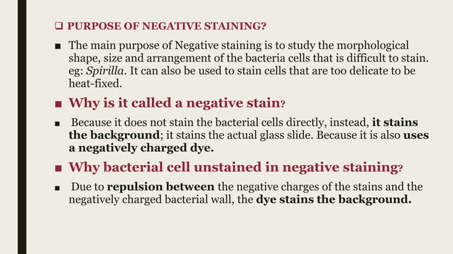 Negative staining | PPTX | Biological Sciences | Science