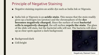 Negative staining | PPTX