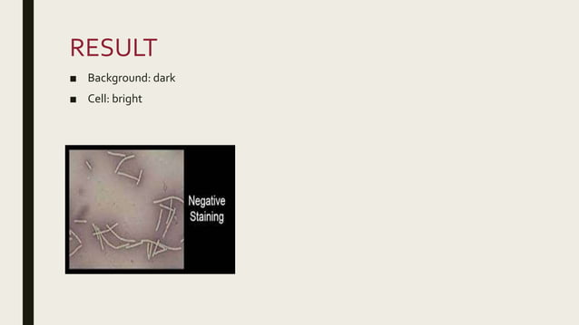 Negative staining | PPTX | Biological Sciences | Science