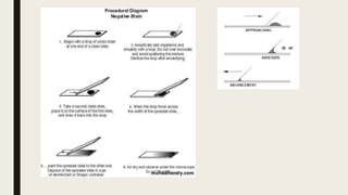 Negative staining | PPT