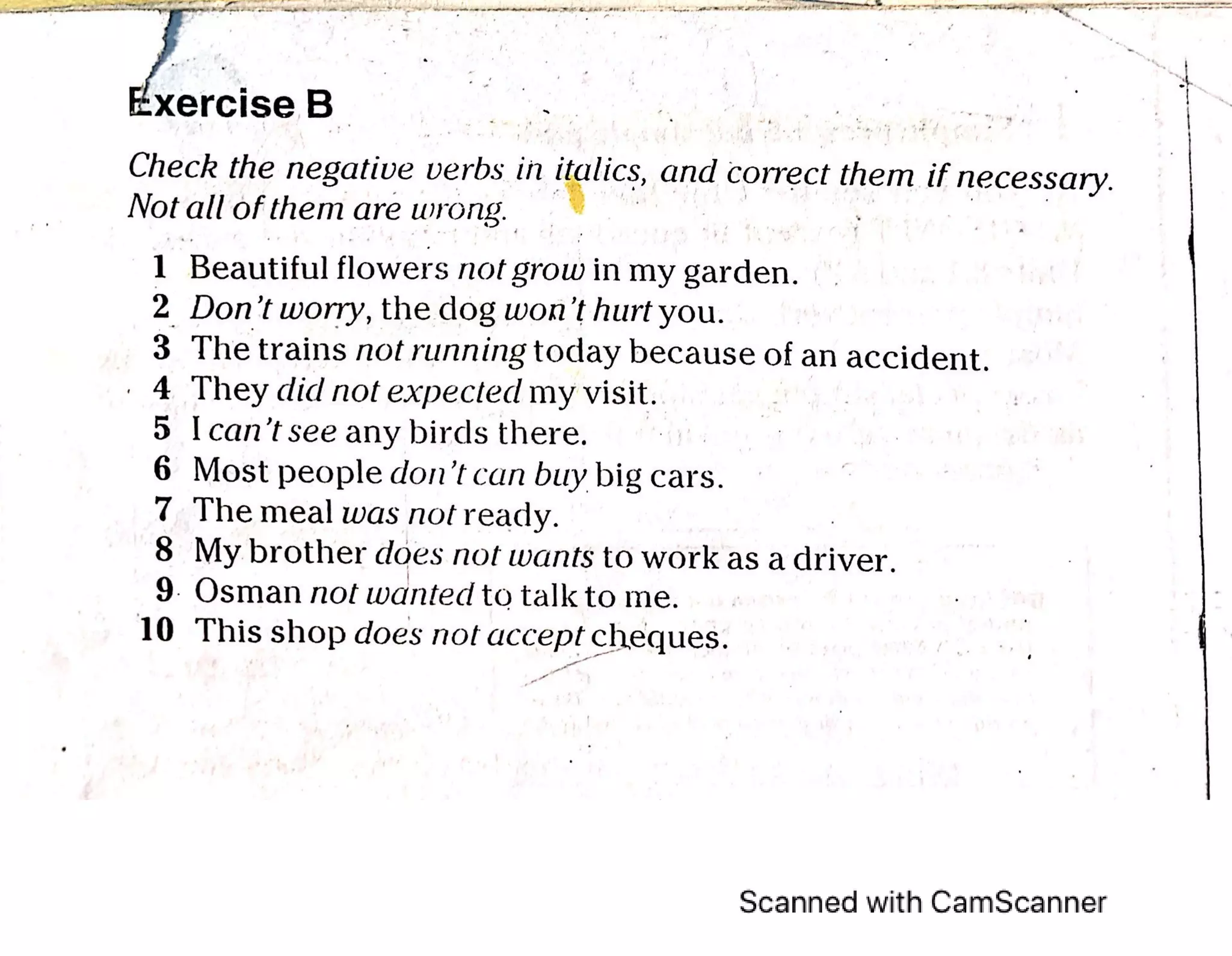 Negative verbs | PDF