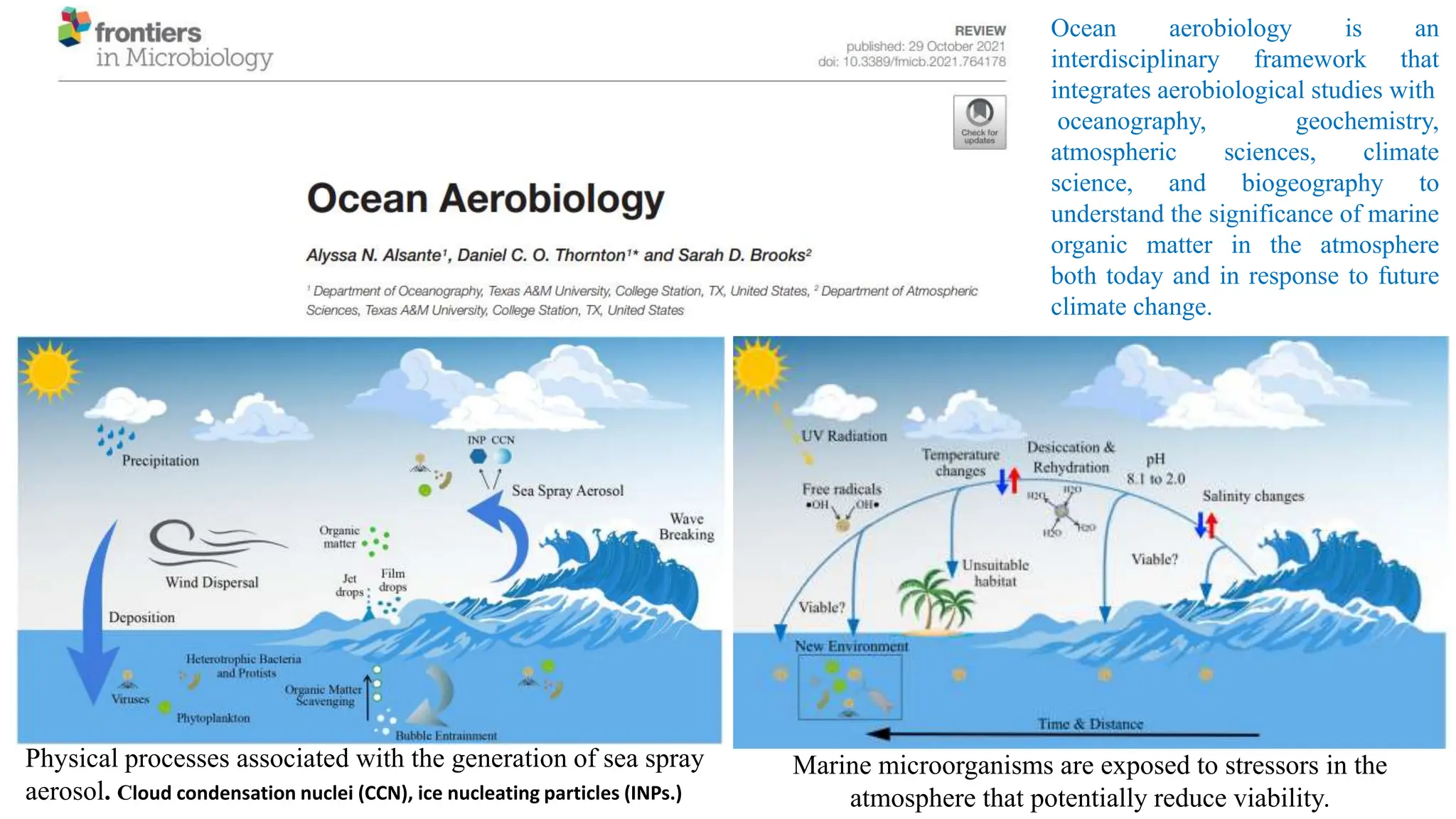 Neglected Research Fields in Aerobiology.pptx