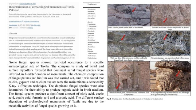 Neglected Research Fields in Aerobiology.pptx