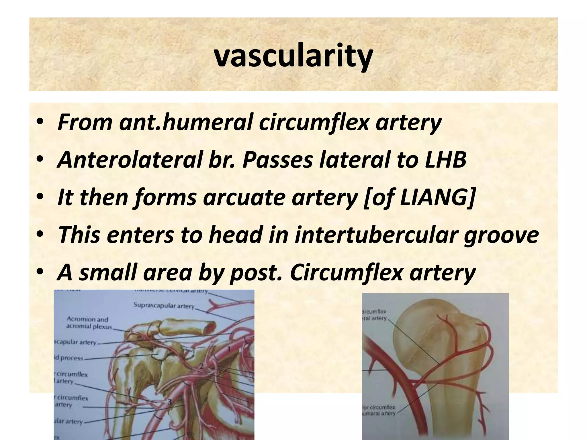 neglected proximal humerus fractures-a surgical challenge, dr mohamed ...