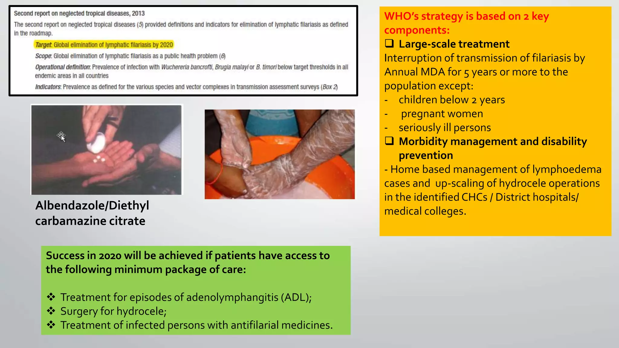 Neglected Tropical Diseases | PPTX