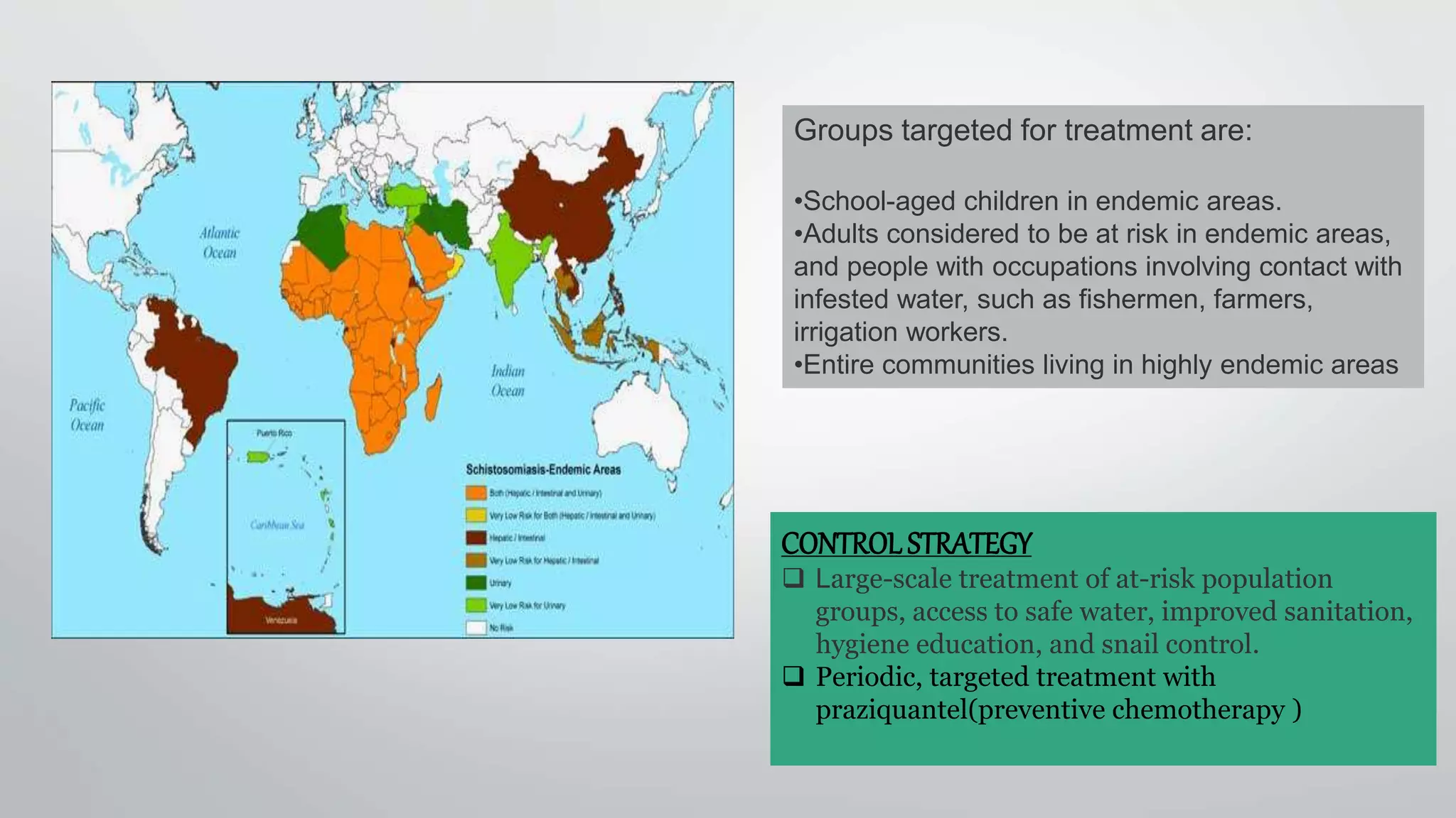 Neglected Tropical Diseases | PPTX