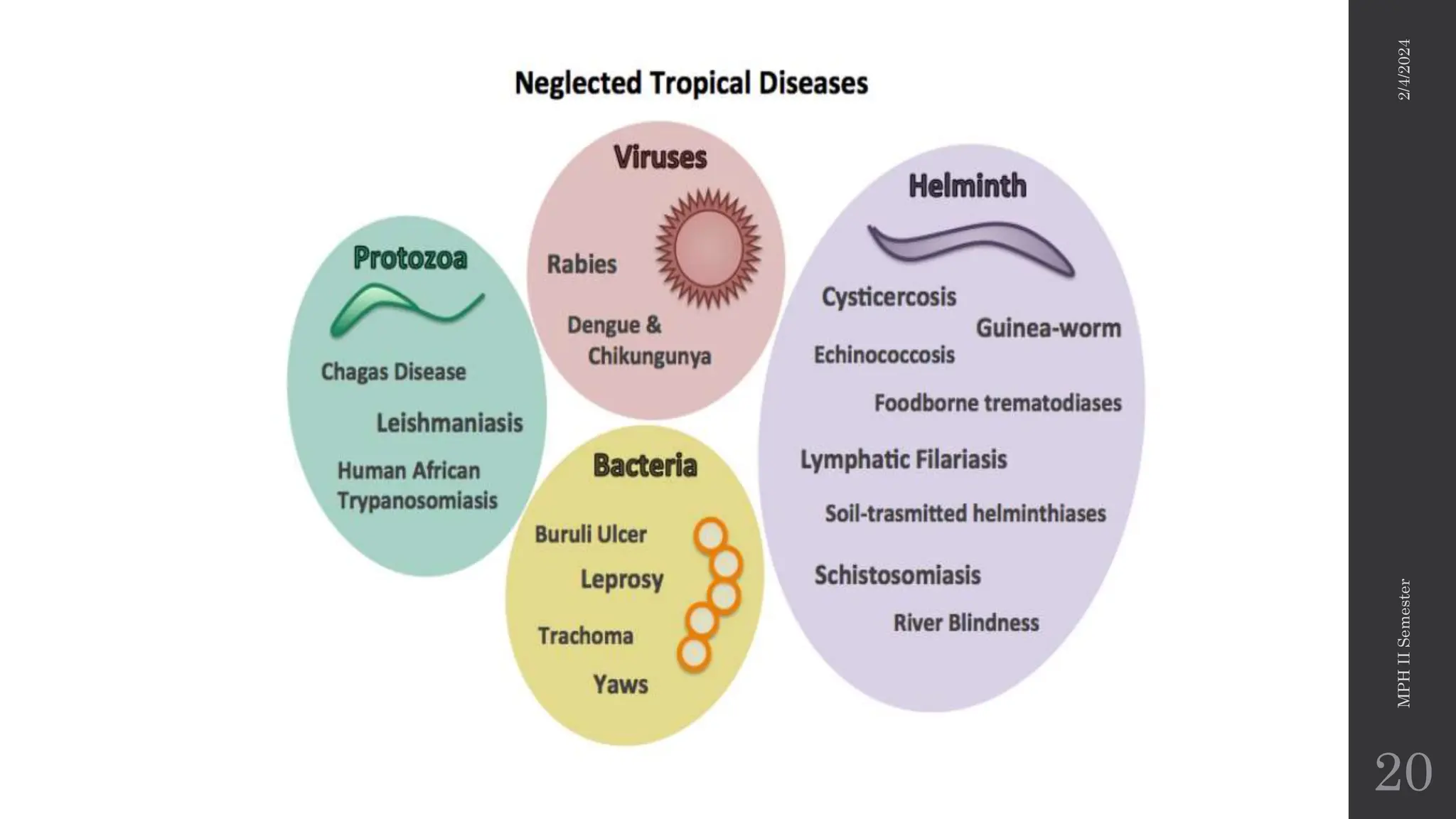 Neglected Tropical Disease epidemiology.pptx