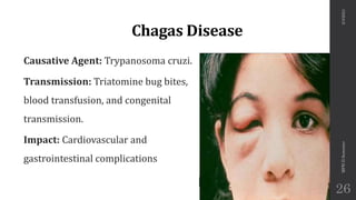 Neglected Tropical Disease epidemiology.pptx