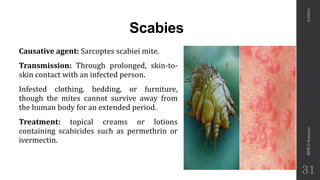Neglected Tropical Disease epidemiology.pptx