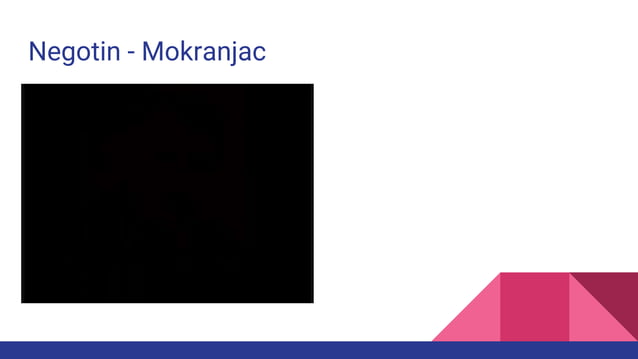 Negotin nekad i sad | PPT