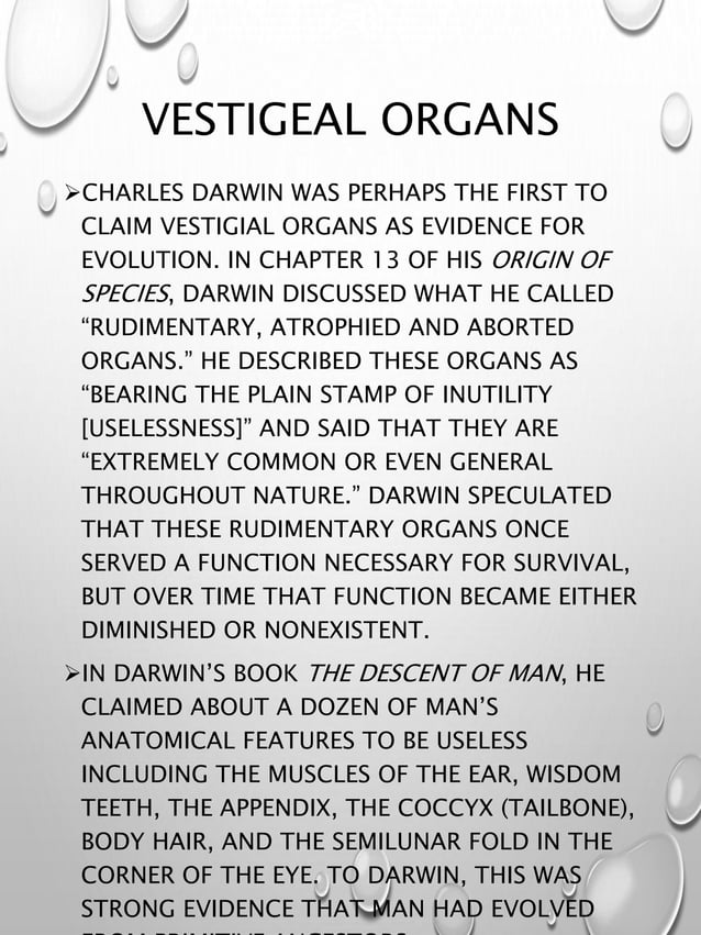 BIOLOGY INVESTIGATORY PROJECT | VESTIGIAL STRUCTURE | PPTX | Ear, Nose ...