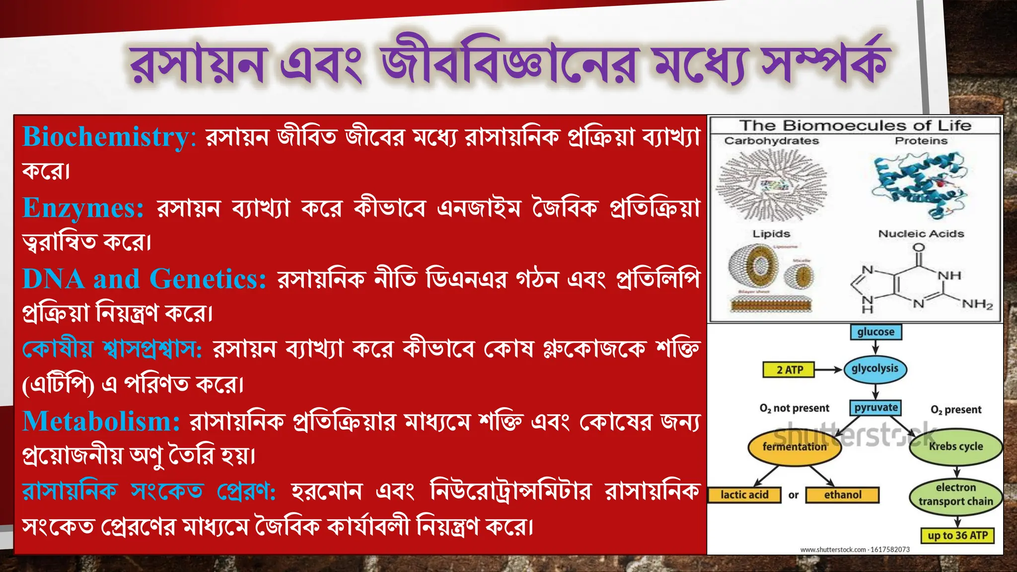 49 NEHA DAS INTERRELATION WITH PHYSICAL SCIENCE | PPT