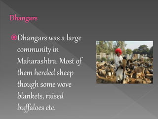 Pastoralists in the modern world | PPTX