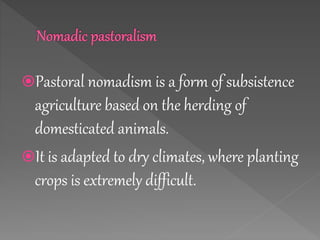 Pastoralists in the modern world | PPTX