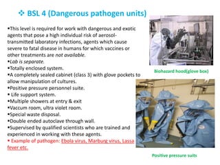 Bio safety level in laboratory | PPTX