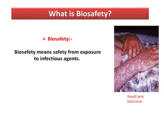 Bio safety level in laboratory | PPTX