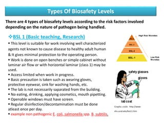 Bio safety level in laboratory | PPTX