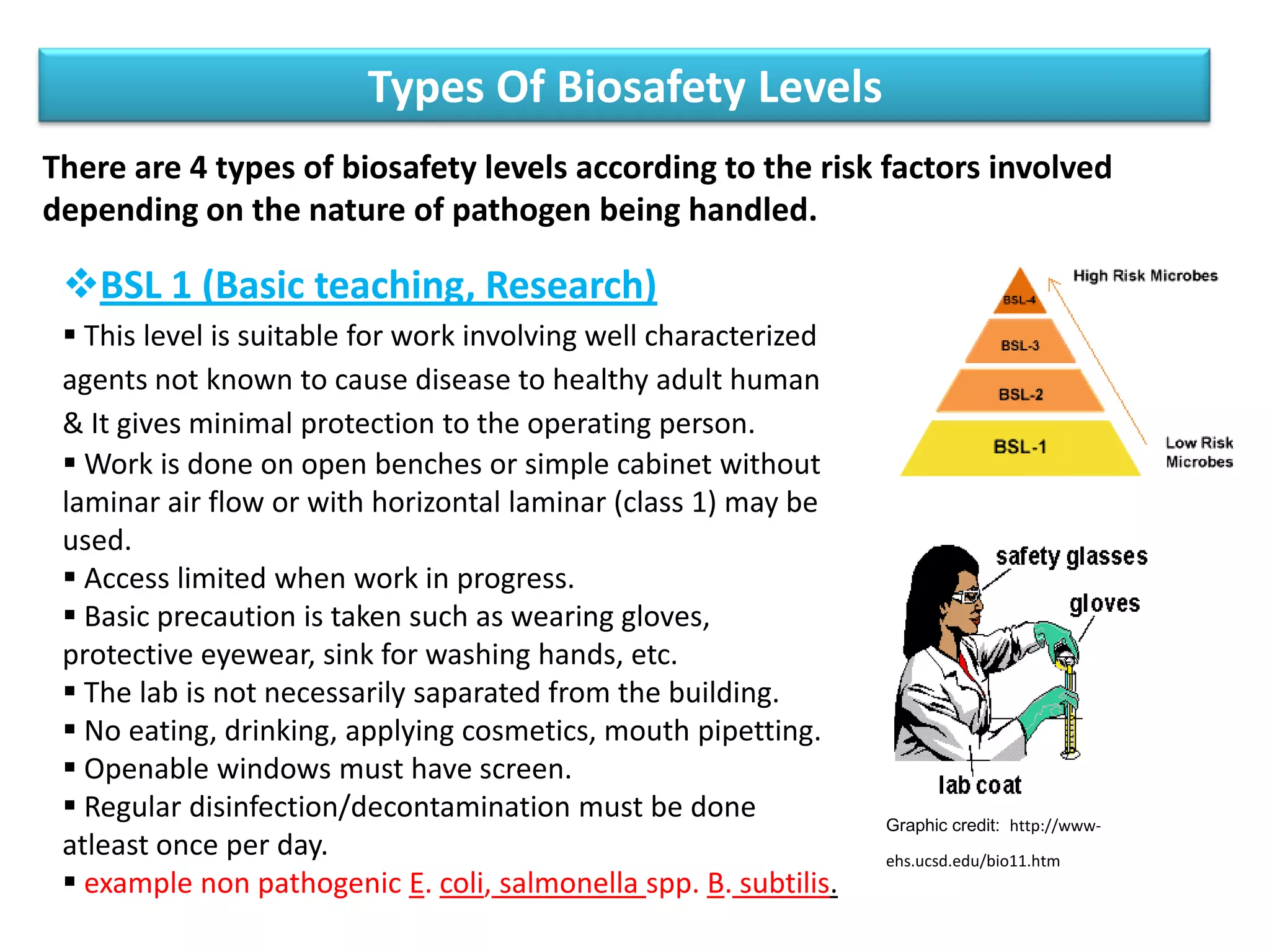 Neha biosafety levels ppt | PPTX
