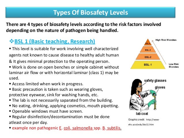 Biosafety Cabinet Levels Ppt | Cabinets Matttroy