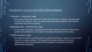 cellular totipotency and callus culture | PPTX