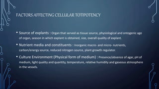 cellular totipotency and callus culture | PPTX