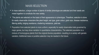 Pureline and Mass selection methods of plant breeding | PPTX