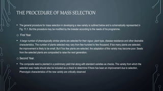 Pureline and Mass selection methods of plant breeding | PPTX