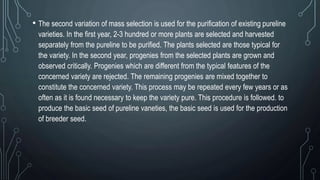 Pureline and Mass selection methods of plant breeding | PPTX