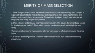 Pureline and Mass selection methods of plant breeding | PPTX