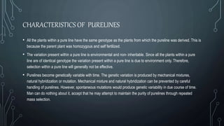 Pureline and Mass selection methods of plant breeding | PPTX