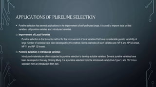 Pureline and Mass selection methods of plant breeding | PPTX