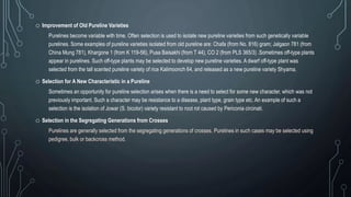 Pureline and Mass selection methods of plant breeding | PPTX