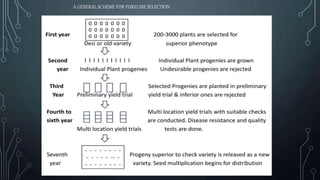 Pureline and Mass selection methods of plant breeding | PPTX