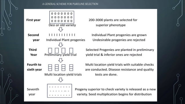 Pureline and Mass selection methods of plant breeding | PPTX ...