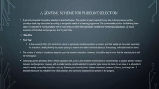 Pureline and Mass selection methods of plant breeding | PPTX